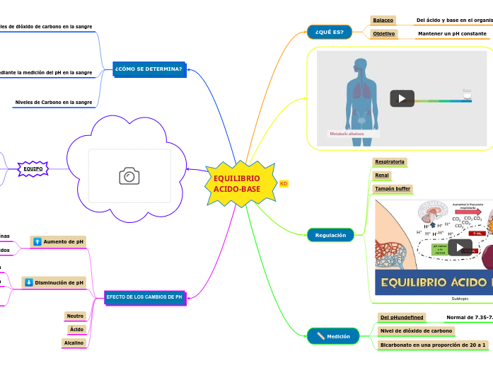 EQUILIBRIO ACIDO-BASE - Mind Map